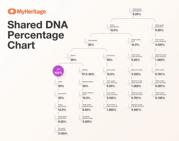 Wspólne DNA: Jak dużo DNA dzielisz z krewnymi? - Blog MyHeritage